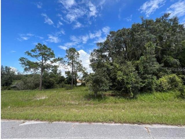1336 Hillsborough Ct, Poinciana, FL 34759