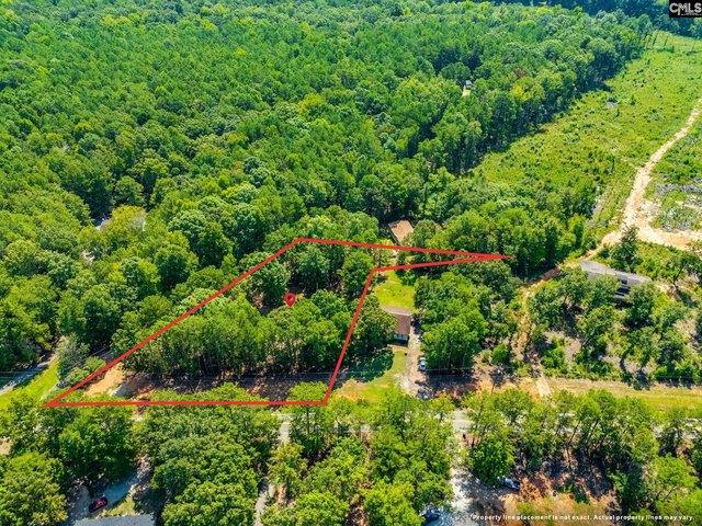 1336 Winterwood Rd, Columbia, SC 29203