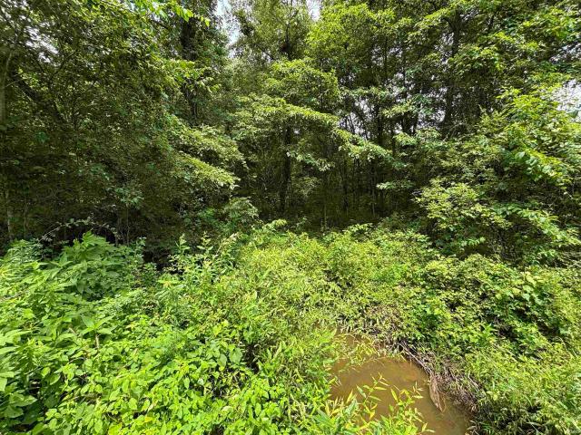 13382 W 450 N Tract 1 Road