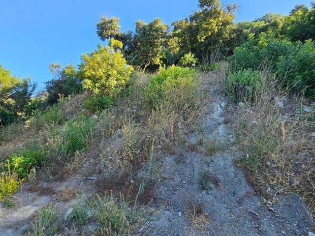 13388 Newcomb Drive
