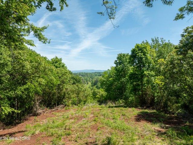 13389 Meadow Rd W, Lenoir City, TN 37772