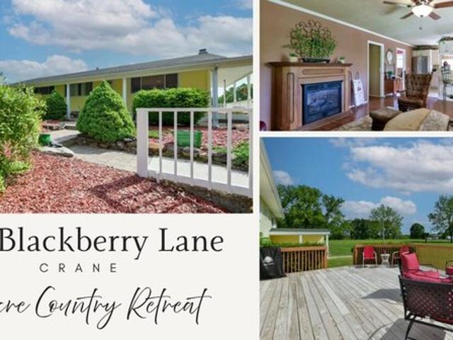 1338 Blackberry Ln, Crane, MO 65633