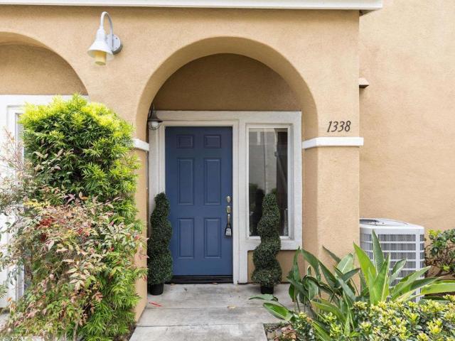 1338 Starry Way