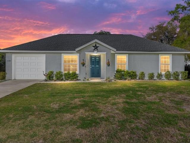 13390 SE 105th Ter, Ocklawaha, FL 32179