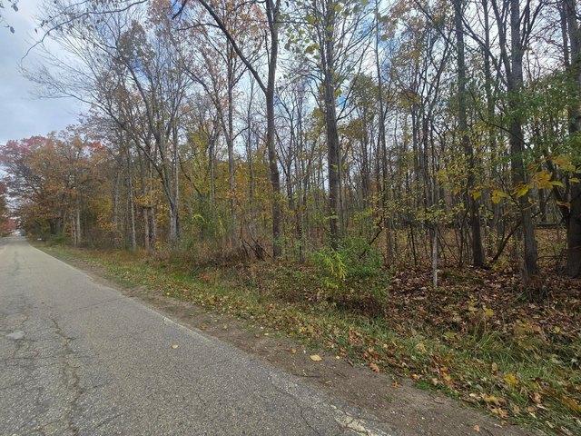 13395 Warner Rd, Perry, MI 48872
