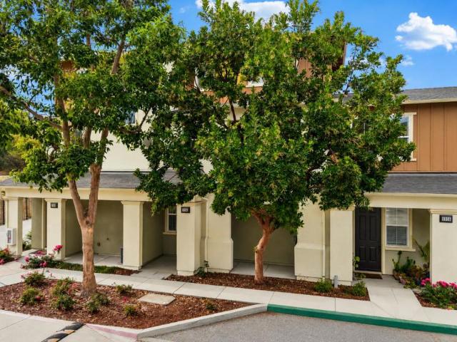 1339 Nestwood