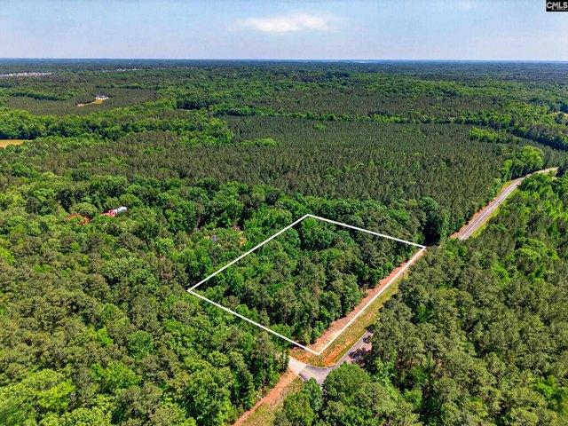 1339 Jake Eargle Rd, Little Mountain, SC 29075