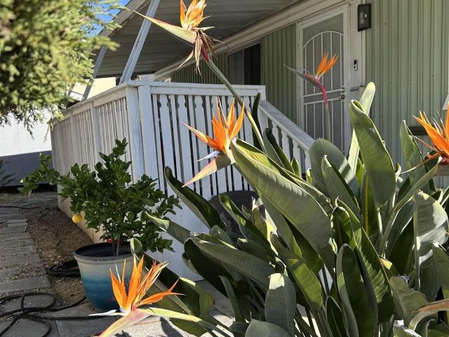 13300 Los Coches Rd E, Unit 92, El Cajon, CA 92021 | MLS #260002