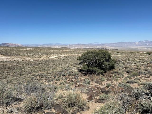 1330 wild horse run