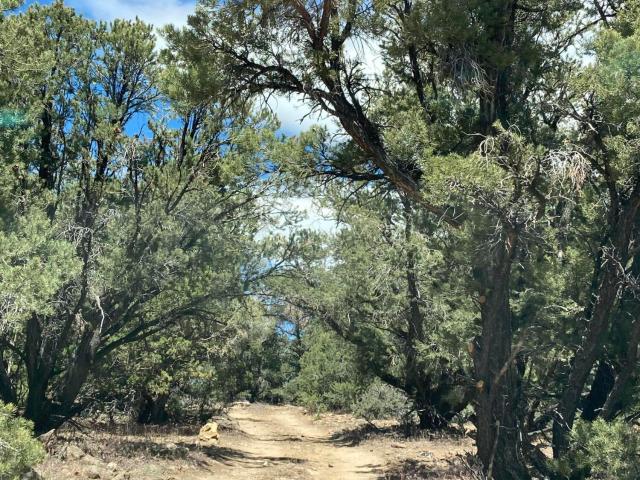 1330 Yellow Jacket Rd, Reno, NV 89521 | MLS #260005 | Compass
