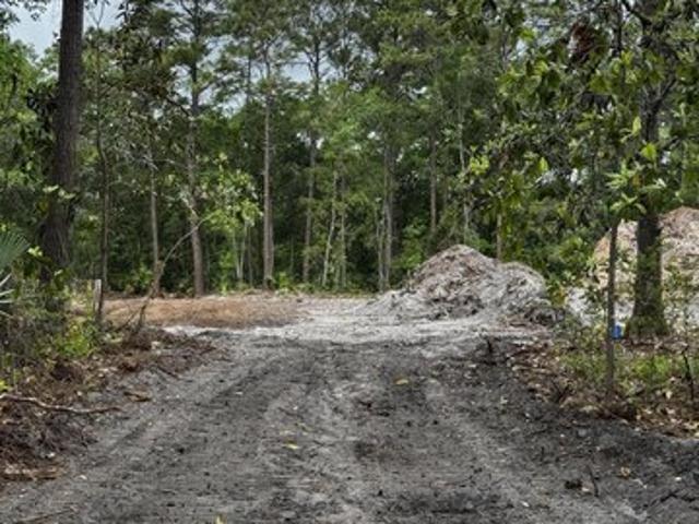 13314 Peaceful Rd, Jacksonville, FL 32226