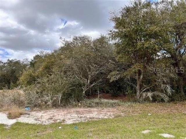 1331 Congo Dr, Poinciana, FL 34759 | MLS #P4935 | Compass