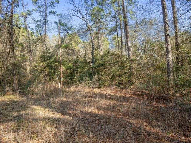 13321 Lueders Ln, Plantersville, TX 77363