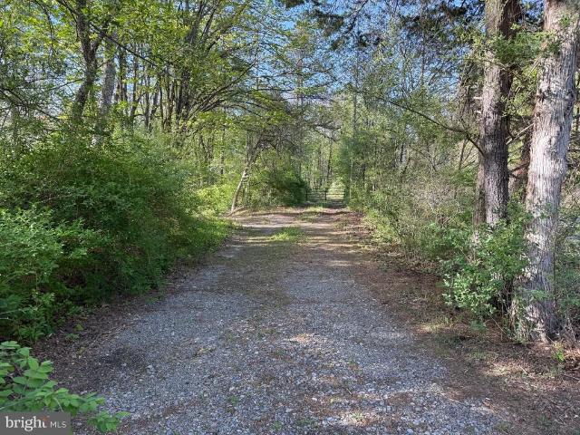 13328 Cacapon Road