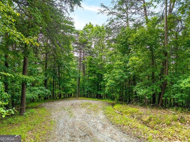 1332 Birch Ln NE, Ranger, GA 30734