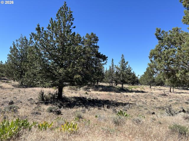 13330 sw airstrip ln