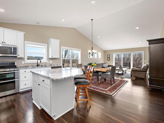 13331 White Pine Court N