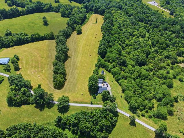 1333 Mays Road # #3