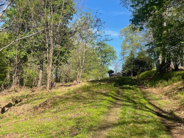 133.944 ACRES Russelldale Road