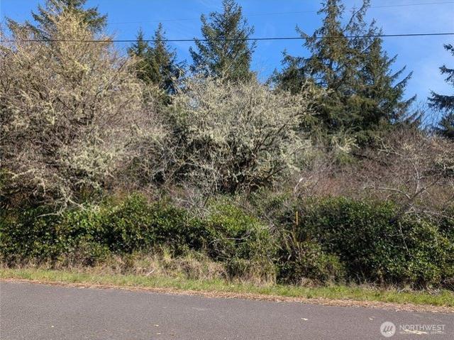 133 Cloquallum St SE Lot 184, Ocean Shores, WA 98569