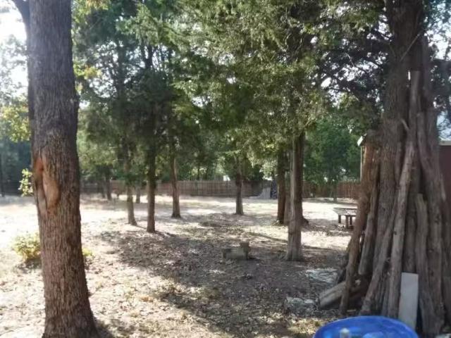 133 Crepe Myrtle Pkwy, Elgin, TX 78621 MLS 9047140
