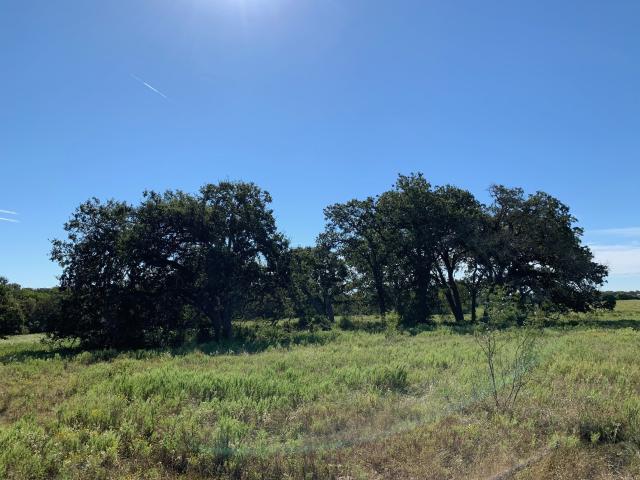 133 ac Hwy 39