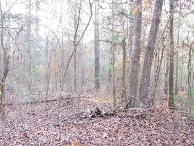 133 Archway Ct, Little Mountain, SC 29075