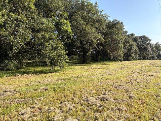 133 Avalon Rd, Lafayette, LA 70508