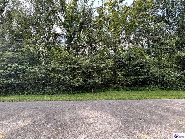 133 Barwater Rd, Brandenburg, KY 40108