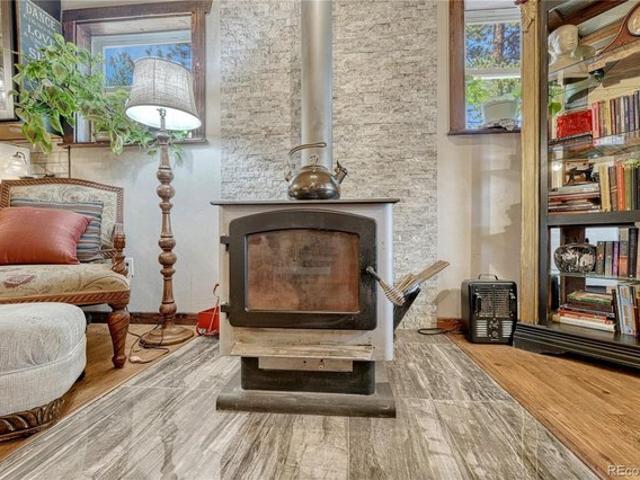 133 Brown St, Bailey, CO 80421