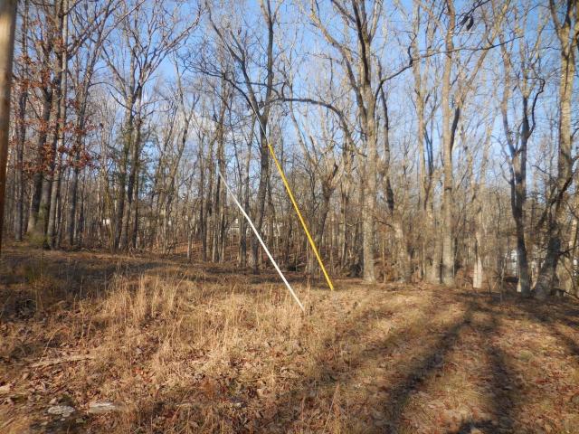 133 Greenbrier Loop