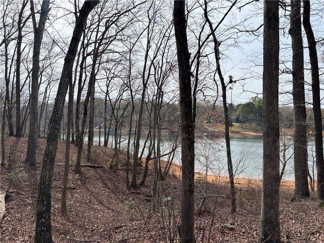 133 Falling Leaf Dr, Townville, SC 29689