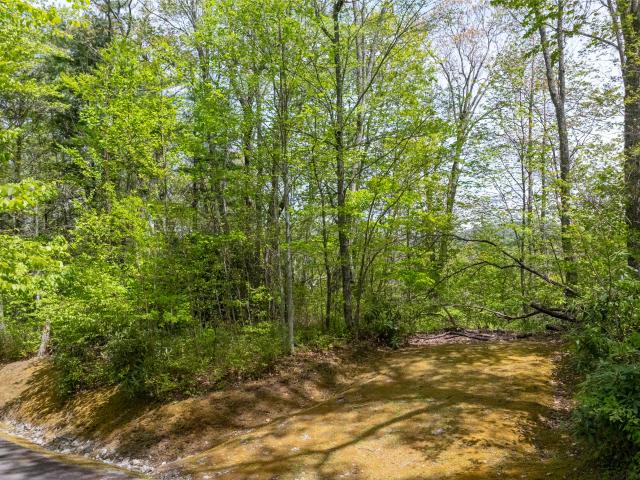 133 Horseshoe Bend Lane