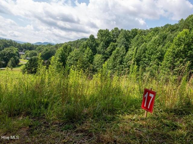 133 Henry Moss Ln Lot 17, Marble, NC 28905
