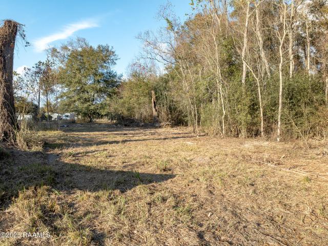 133 Lavan, Elton, LA 70532 | MLS #RA2500006