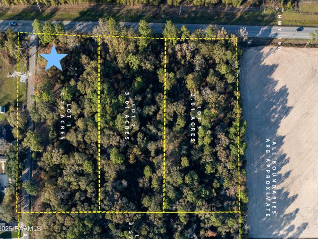 133 Lavan St, Elton, LA 70532 | MLS #2500006