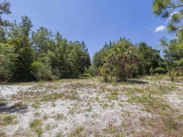 133 Landvale St, Georgetown, FL 32139