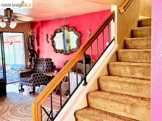 133 Meadowlark Way