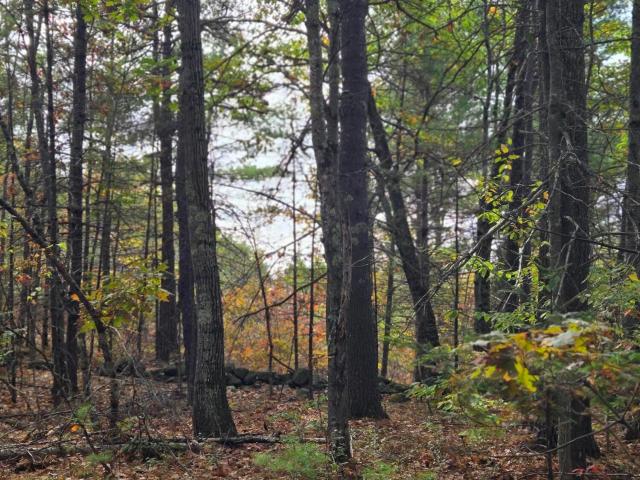 133 Plantation Ln, Brownfield, ME 04010 | MLS #1641