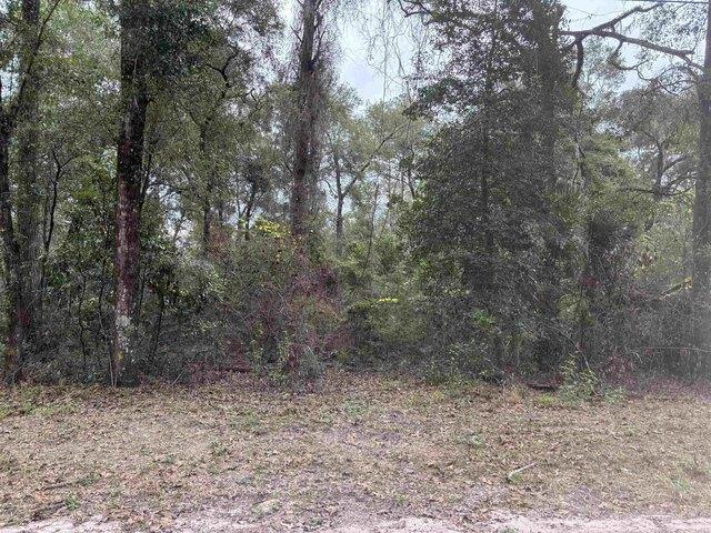 133 Rochelise Rd, Crawfordville, FL 32327
