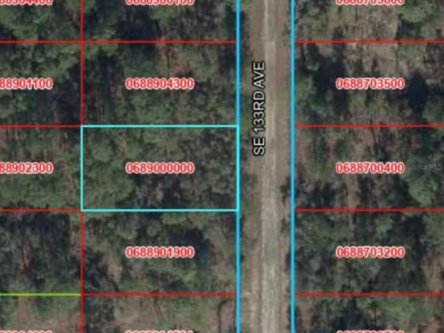 133rd Ave, Dunnellon, FL 34431