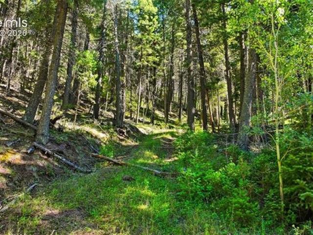 13446 S Firedog Way, Larkspur, CO 80118