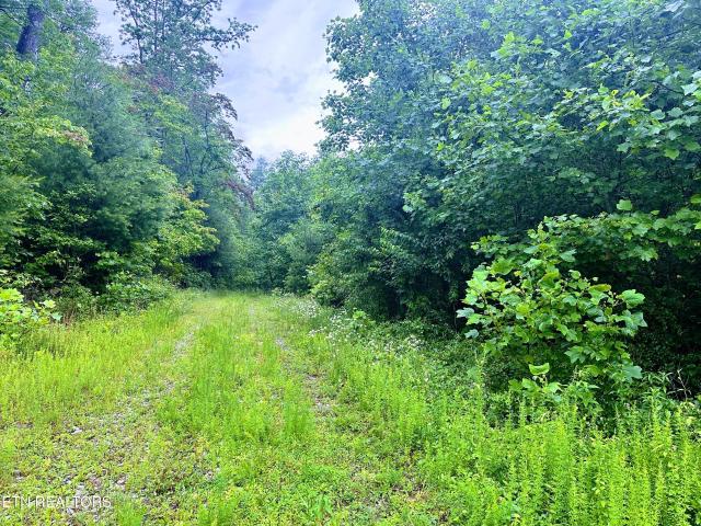 1344 Chestnut Ridge Rd