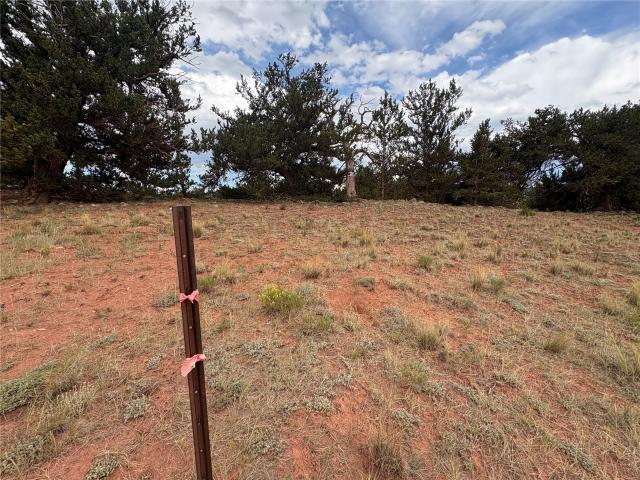 1344 Silver Heels Rd, Fairplay, CO 80440 | MLS #S1070