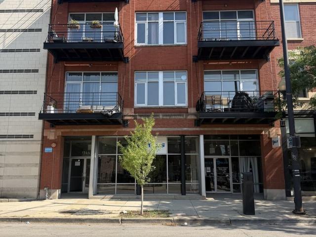 1344 W Madison St 302, Chicago, IL
