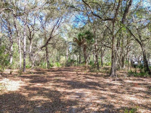 13455 NE 228 Ln Rd, Fort McCoy, FL 32134 | MLS #OM719863