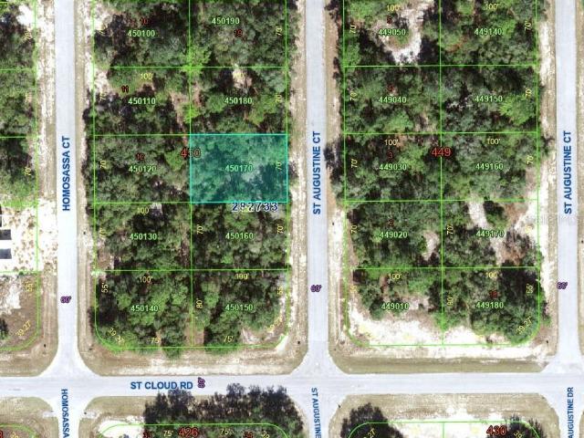 1345 St Augustine Ct, Kissimmee, FL 34759 | MLS #S5103