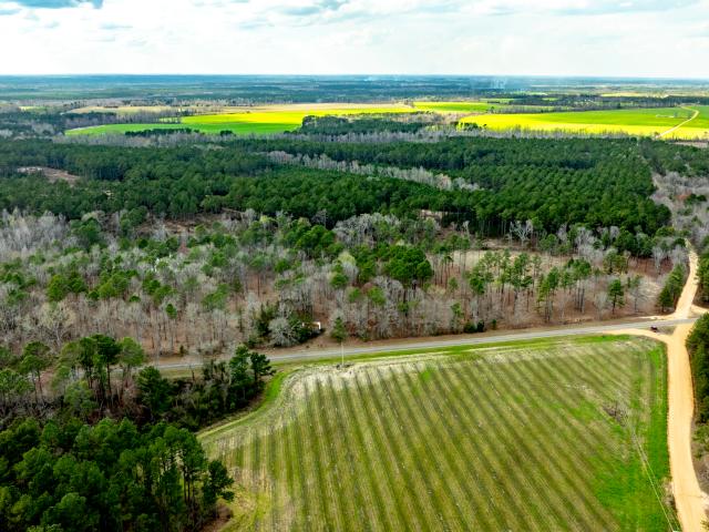 13463 Cowart Pond Road