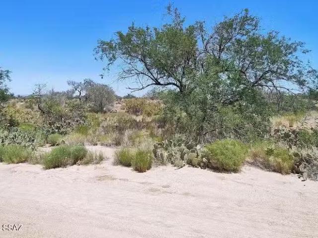13471 Bruckner Ave #416, Tucson, AZ 85736 MLS 22413892