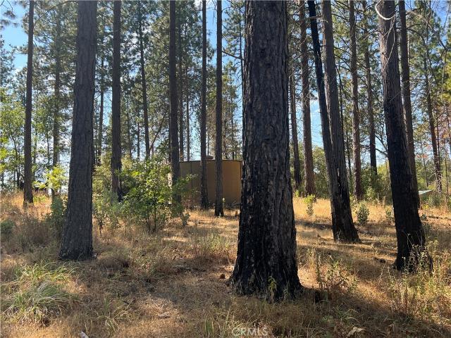 13477 Cirby Creek Road